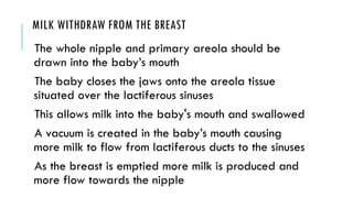 Lactation management and breast VK.pptx
