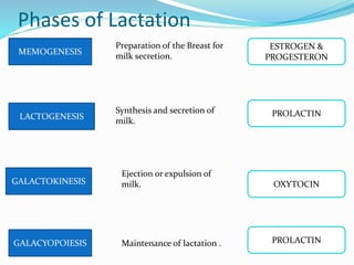 lactation my MDG.pptx