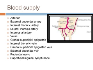 Lactation Physiology in dairy cows | PPTX