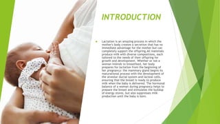 Lactation presentation.pptx