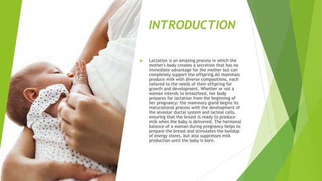 Lactation presentation.pptx