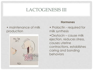 Lactation and breast feeding process.pptx