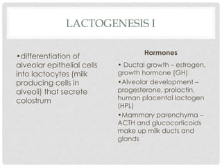 Lactation and breast feeding process.pptx