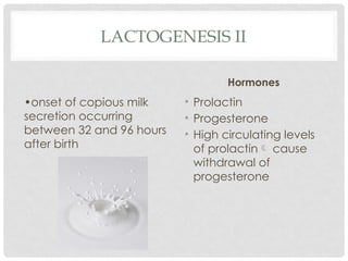 Lactation and breast feeding process.pptx