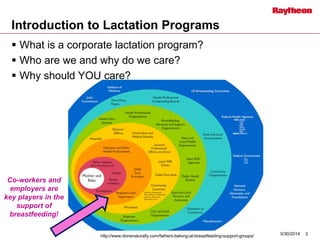 Lactation Programs in the Workplace – Additional Resources | PPTX ...