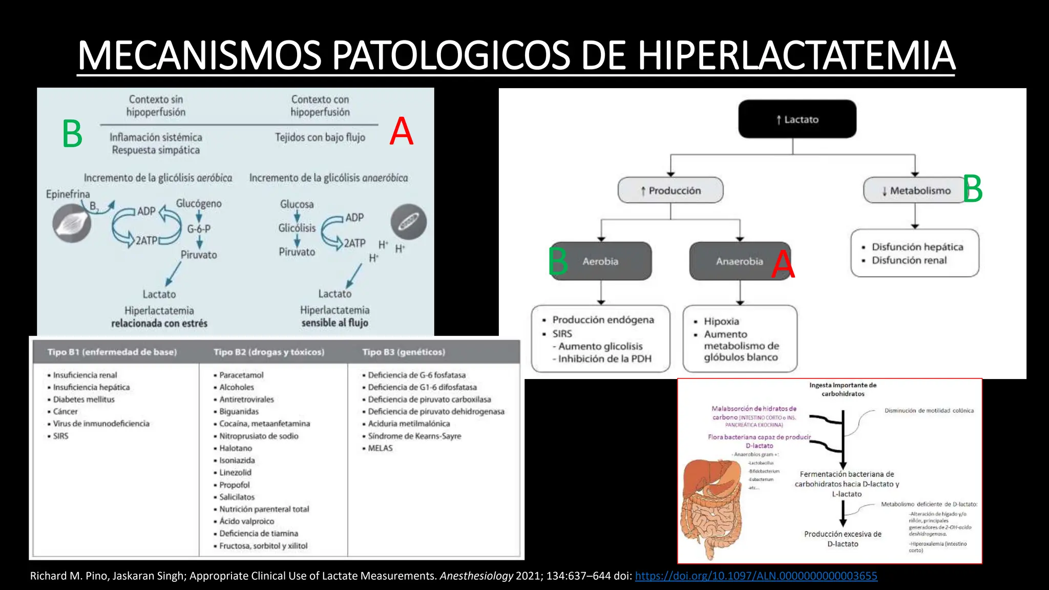 LACTATO EN SHOCK tipos de hiperlactatemia.pptx