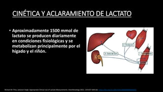 LACTATO EN SHOCK tipos de hiperlactatemia.pptx