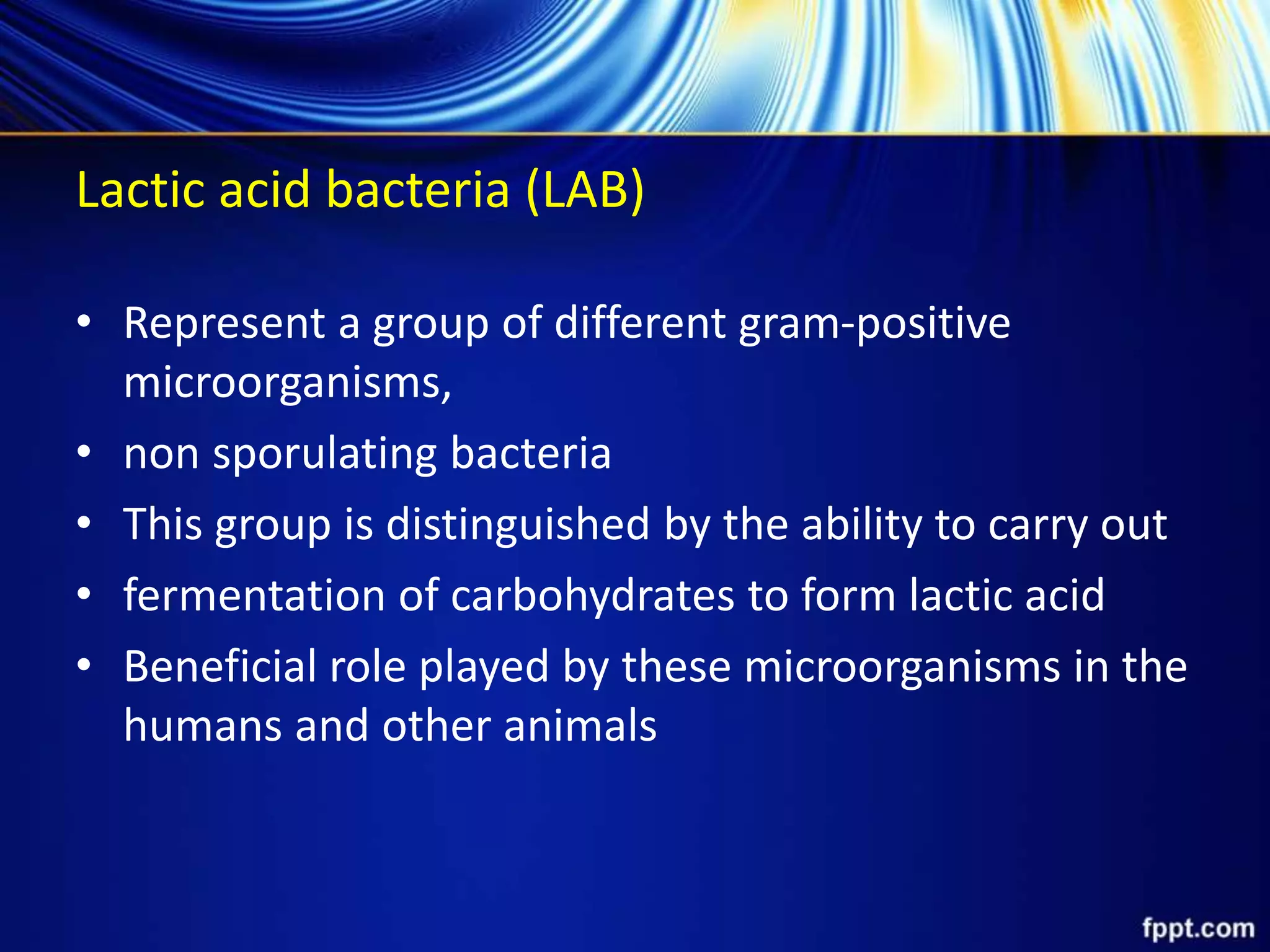 Lactic acid bacteria (lab) | PPTX