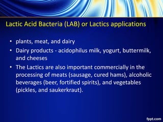 Lactic acid bacteria (lab) | PPTX
