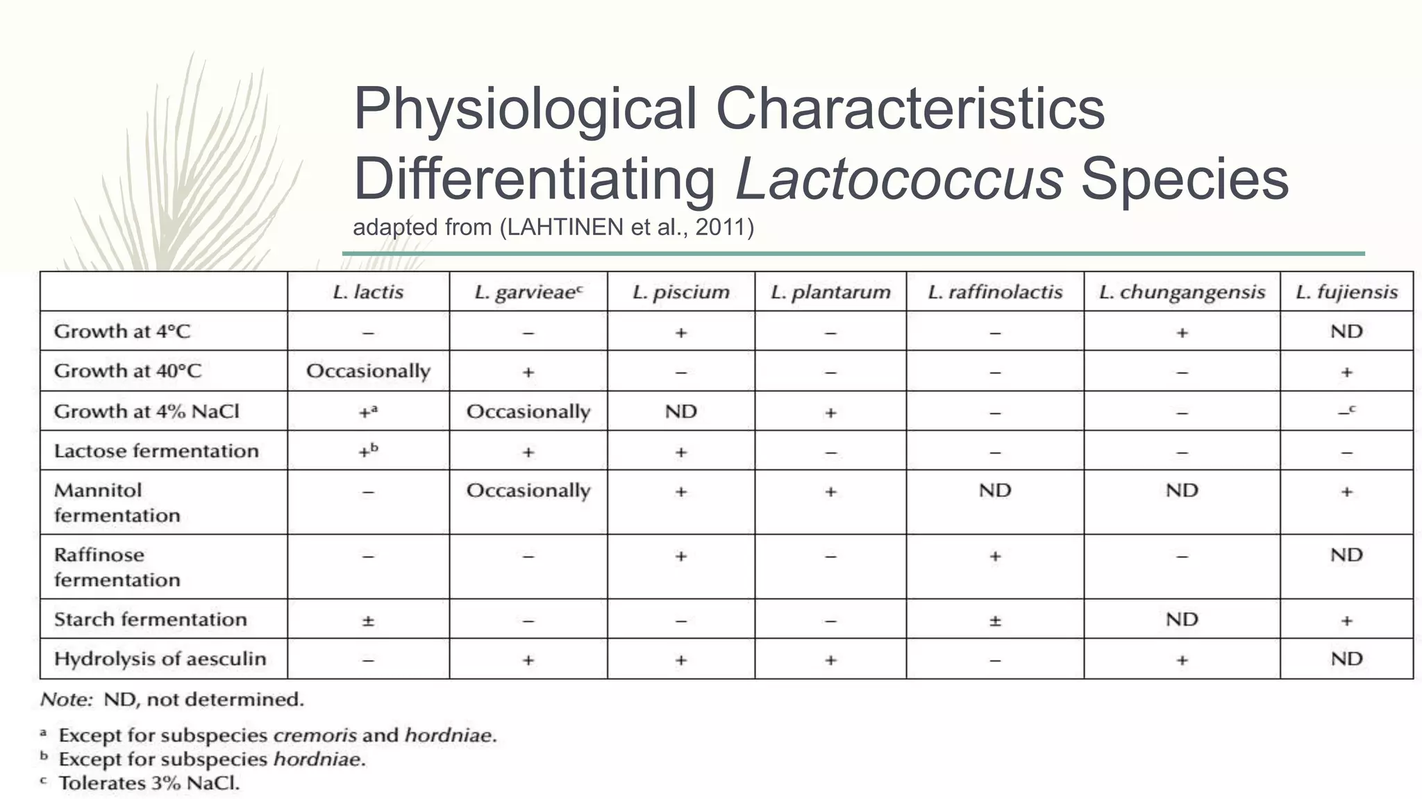 Lactic acid bacteria in food industry | PPTX