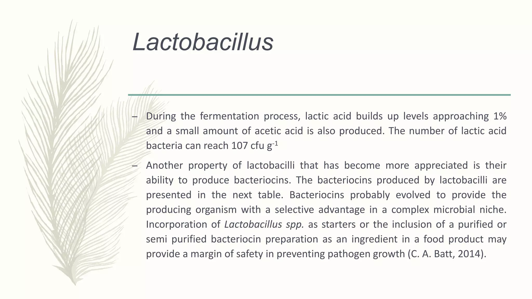 Lactic acid bacteria in food industry | PPTX