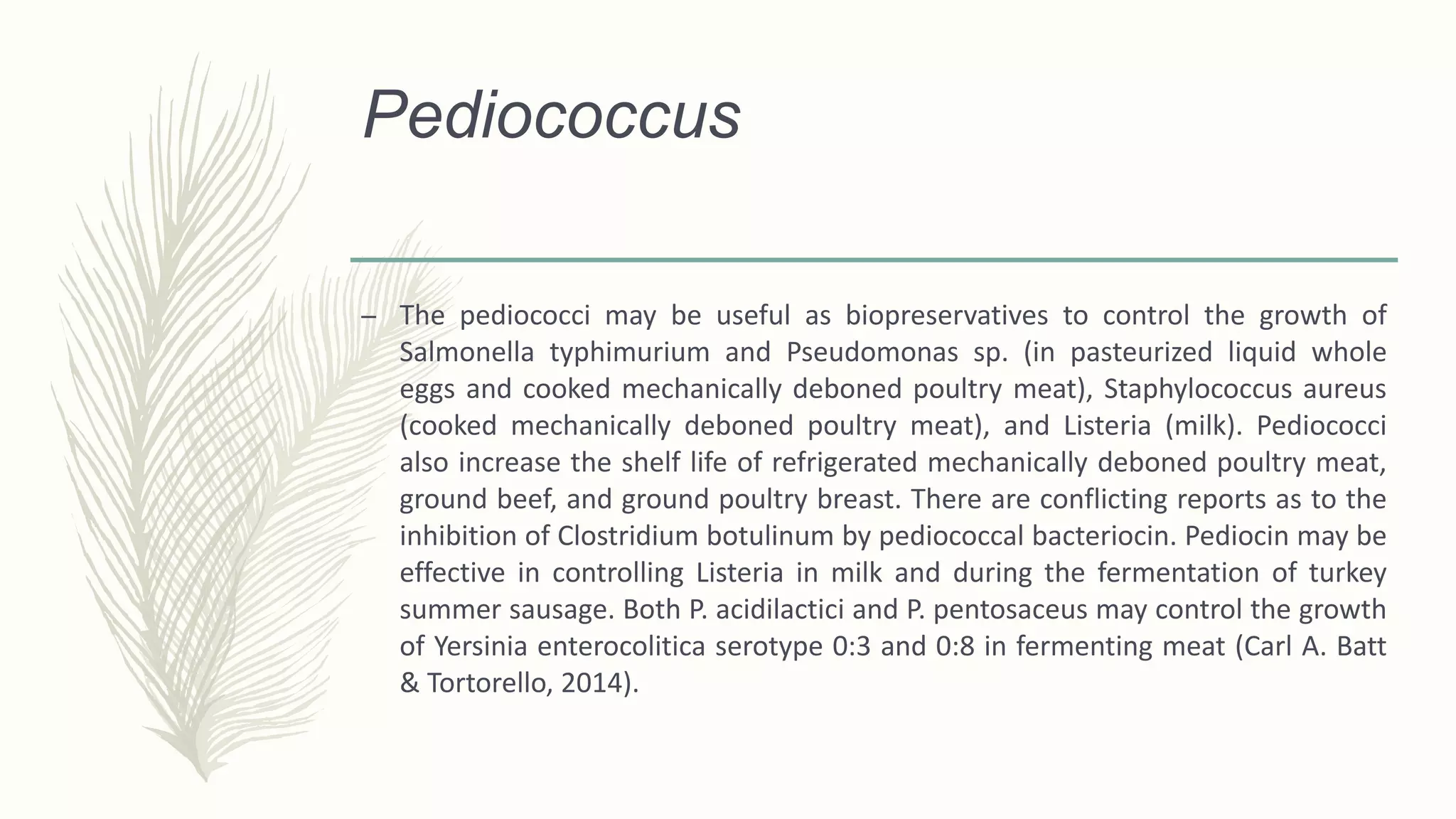 Lactic acid bacteria in food industry | PPTX
