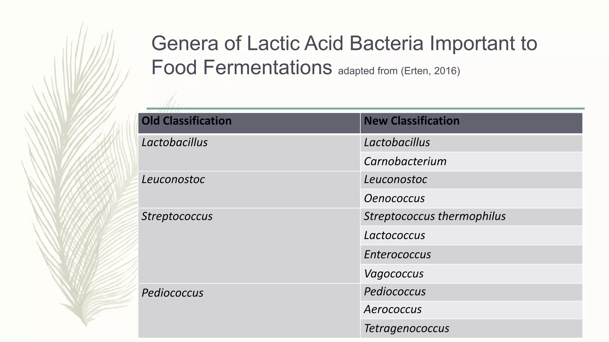Lactic acid bacteria in food industry | PPTX