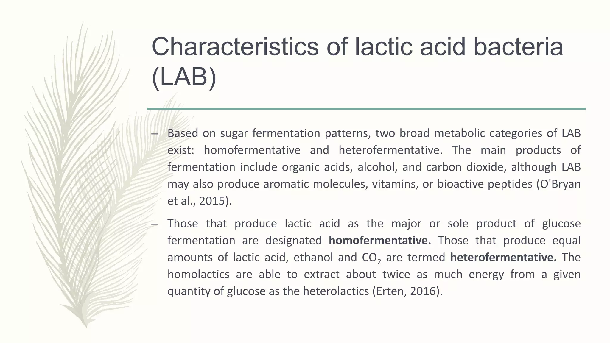 Lactic acid bacteria in food industry | PPTX