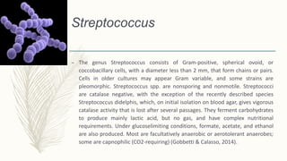 Lactic acid bacteria in food industry | PPTX | Chemistry | Science
