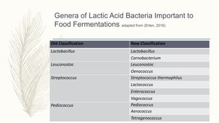 Lactic acid bacteria in food industry | PPTX