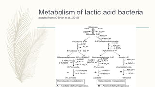Lactic acid bacteria in food industry | PPTX