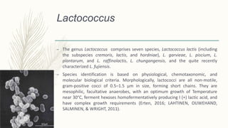 Lactic acid bacteria in food industry | PPTX