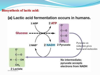 Lactic acid, cheese, glutamic production | PPTX