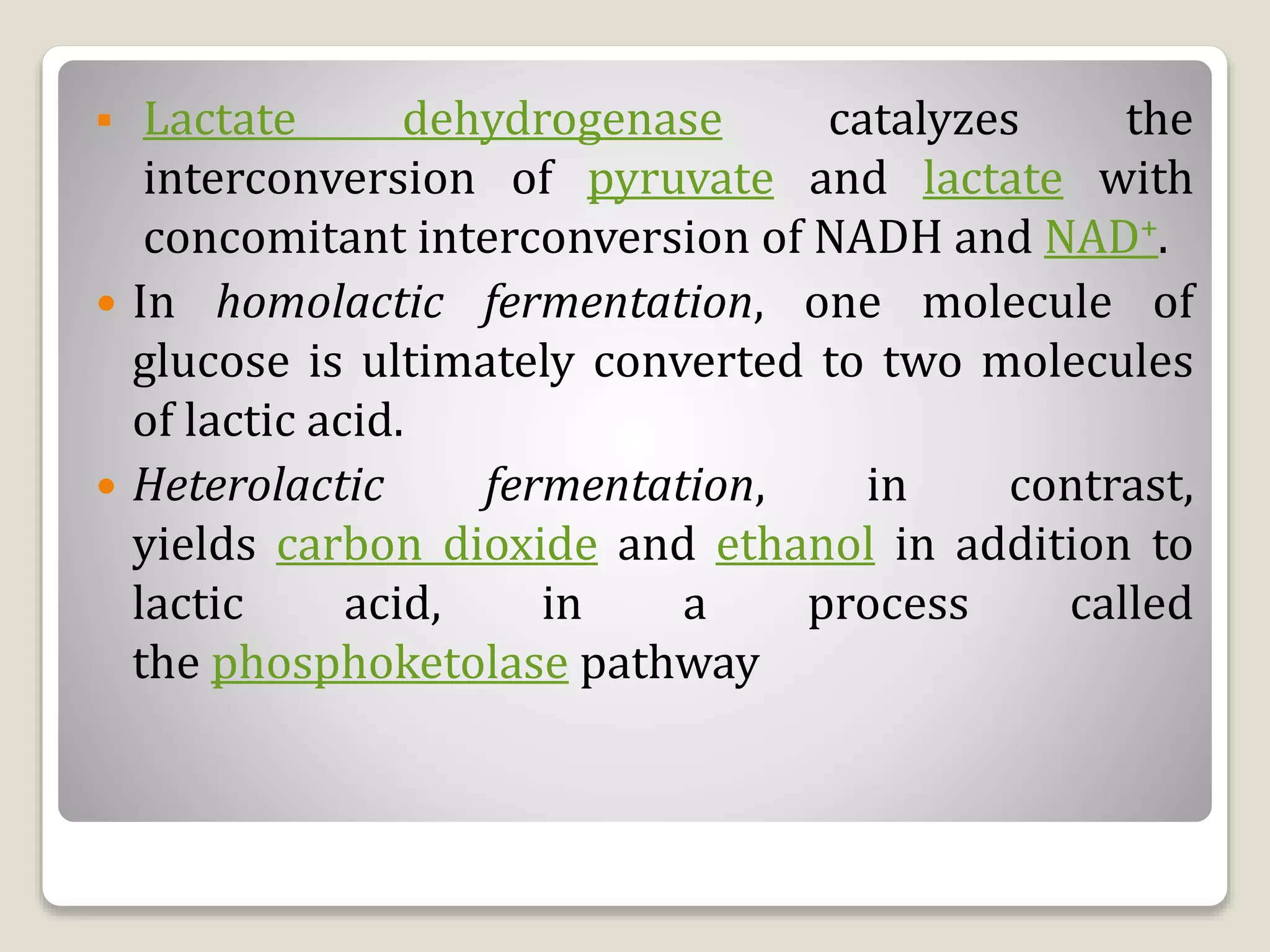 Lactic acid fermentation | PPTX