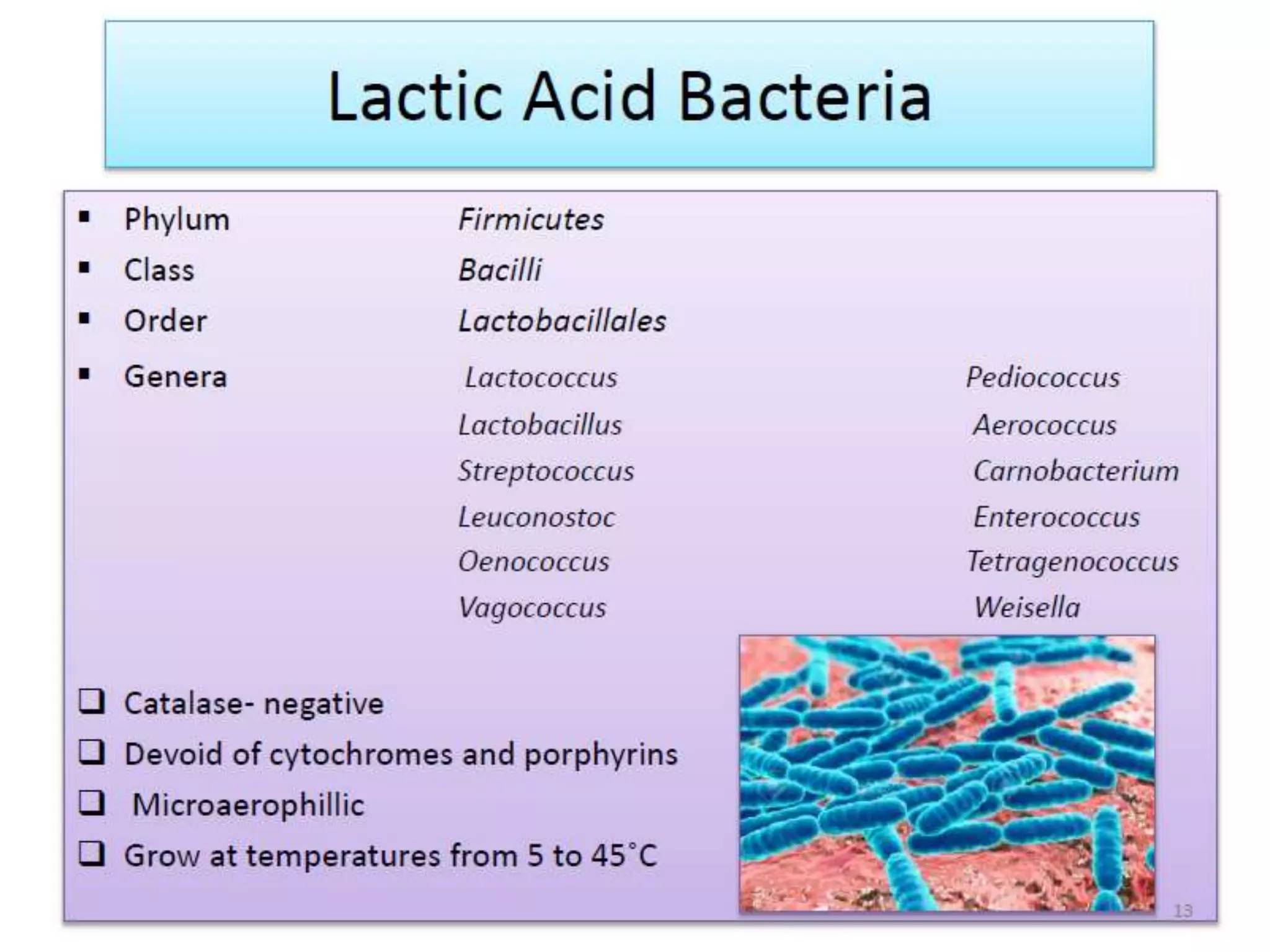 Lactic acid fermentation | PPTX