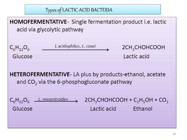 Lactic acid fermentation | PPTX | Chemistry | Science