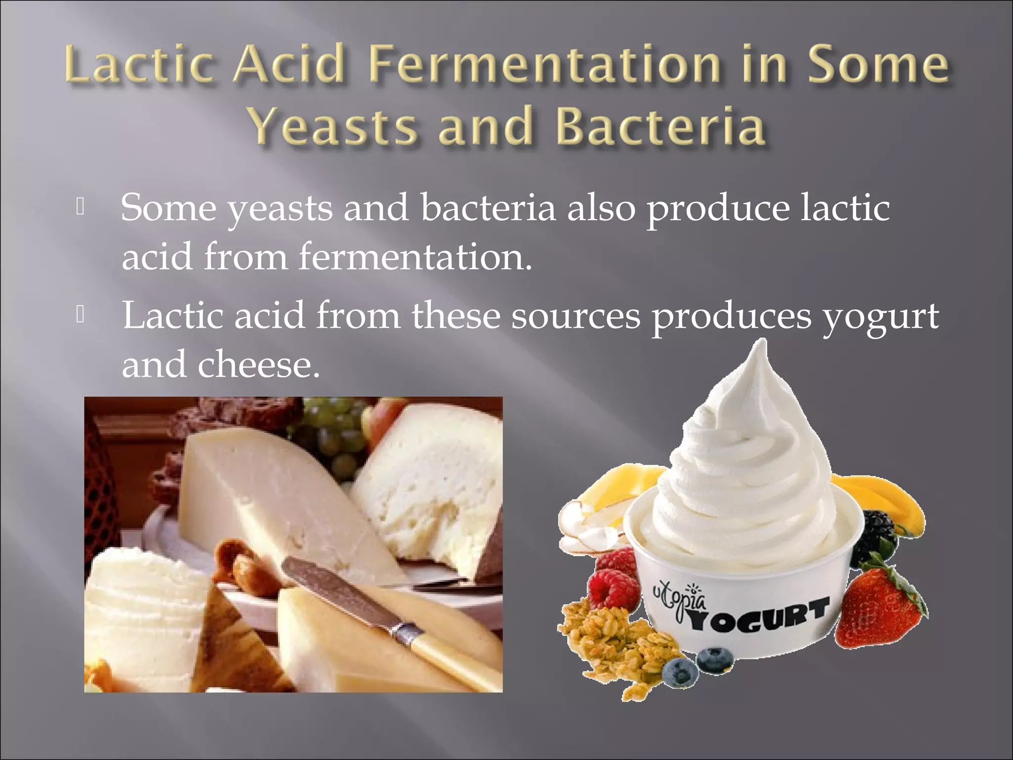 Lactic acid fermentation | PPT