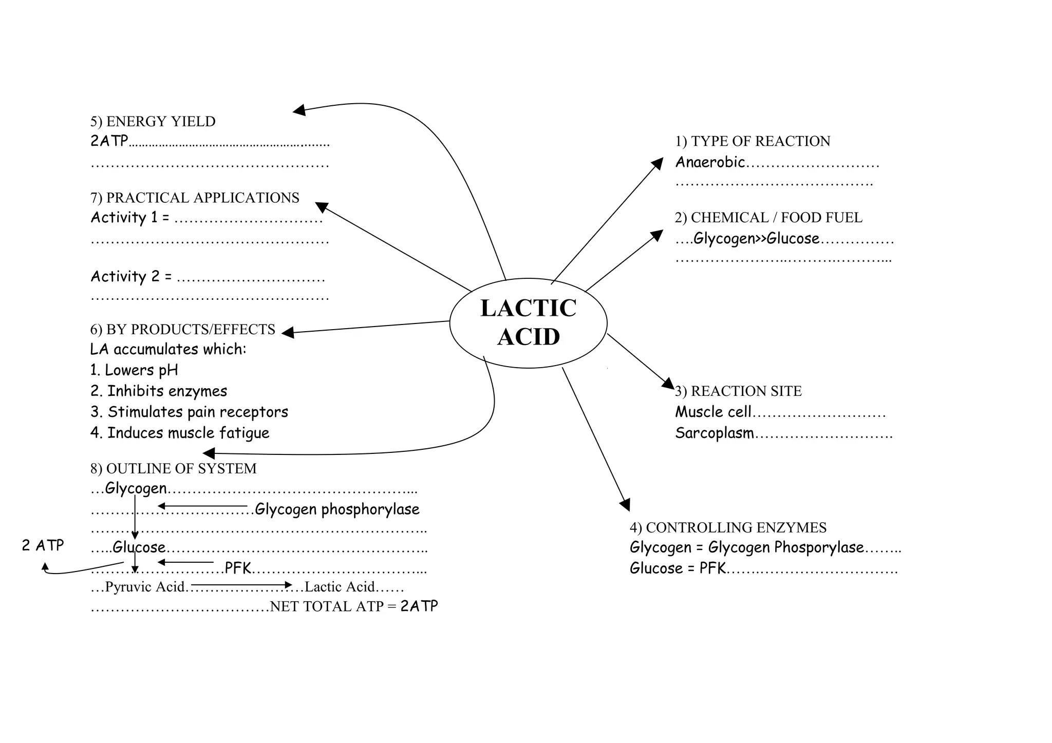 Lactic acid handout | DOC
