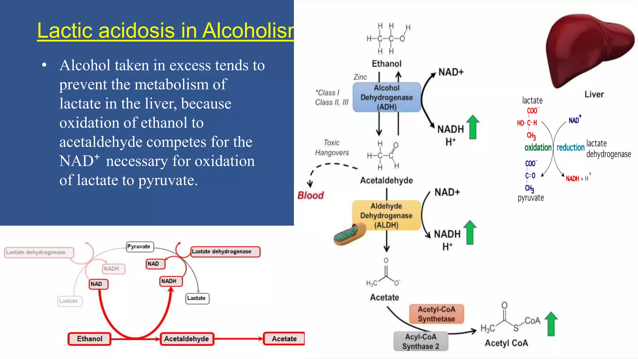 Lactic acidosis | PPTX