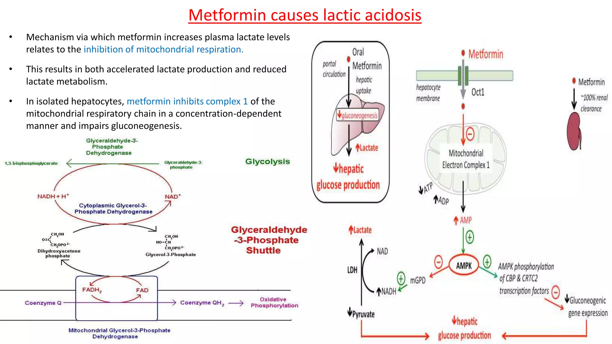 Lactic acidosis | PPTX