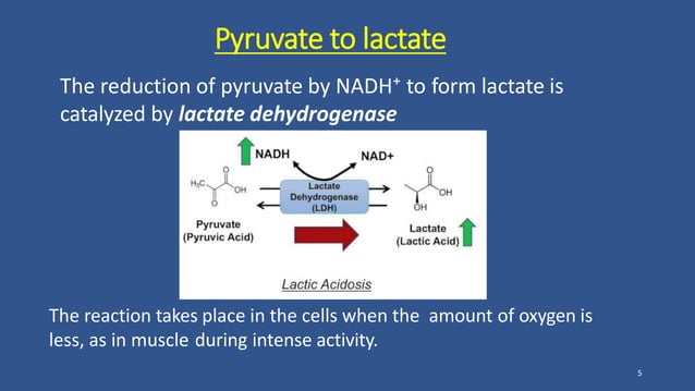 Lactic acidosis | PPTX
