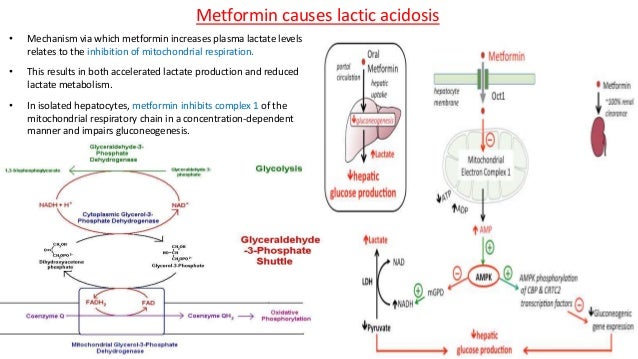 Lactic acidosis