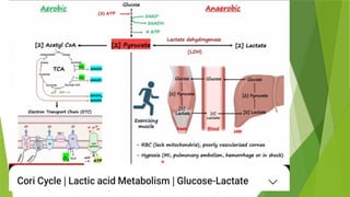 Lactic acidosis , diagnosis, causes, management | PPT