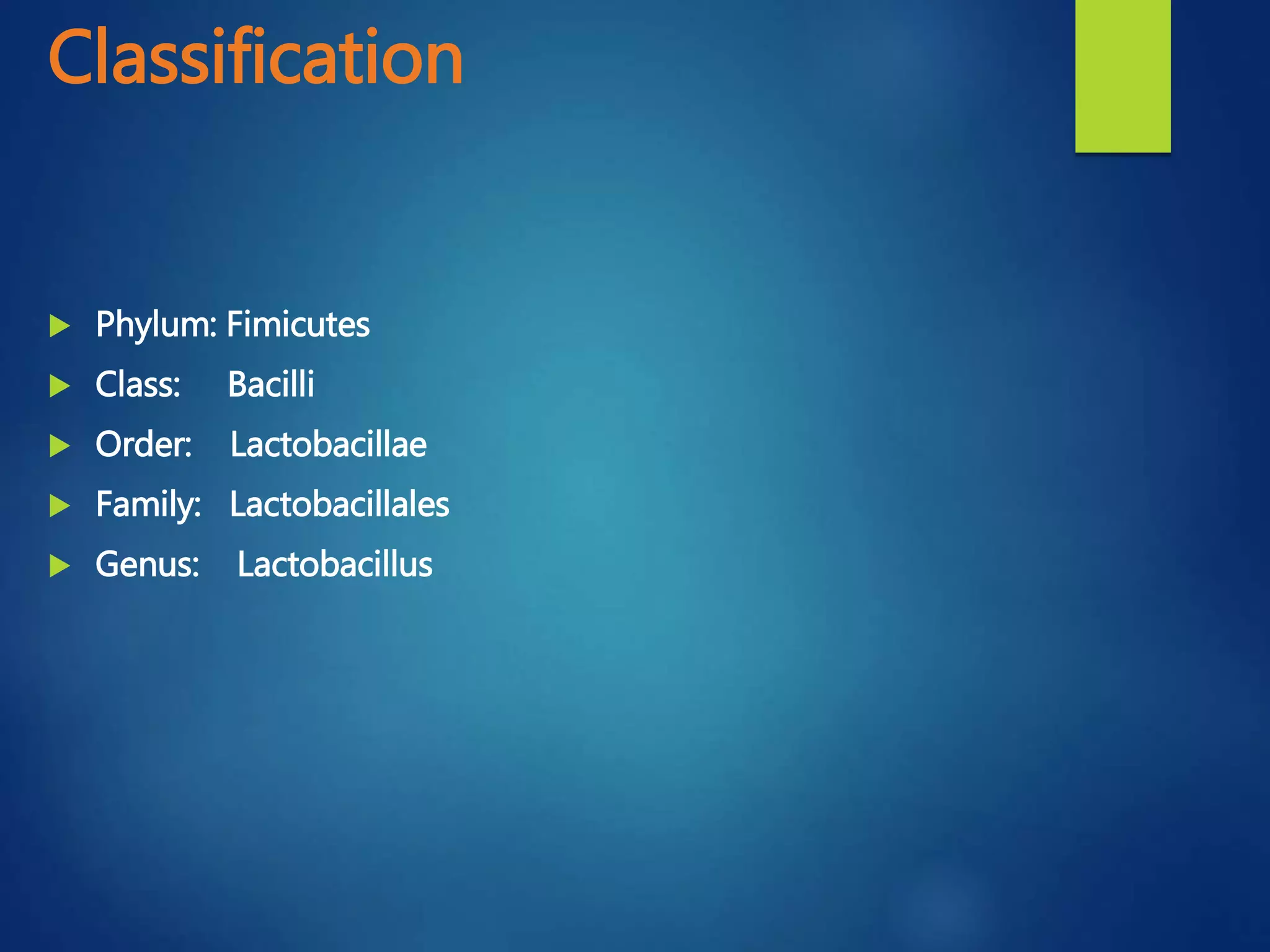 Microbiology :Lactobaciili and its impact in oral cavity | PPTX