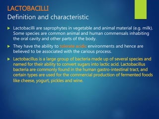 Microbiology :Lactobaciili and its impact in oral cavity | PPTX