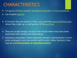 Microbiology :Lactobaciili and its impact in oral cavity | PPTX