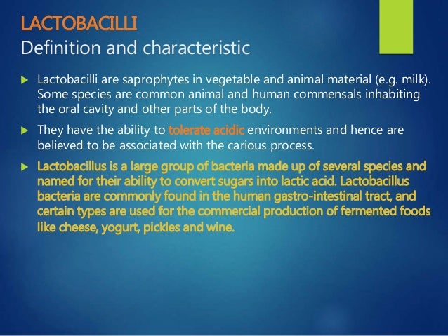 Microbiology :Lactobaciili and its impact in oral cavity