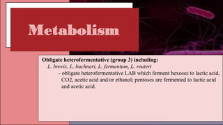 Lactobacillales-Group-1-2-Presentation.pdf
