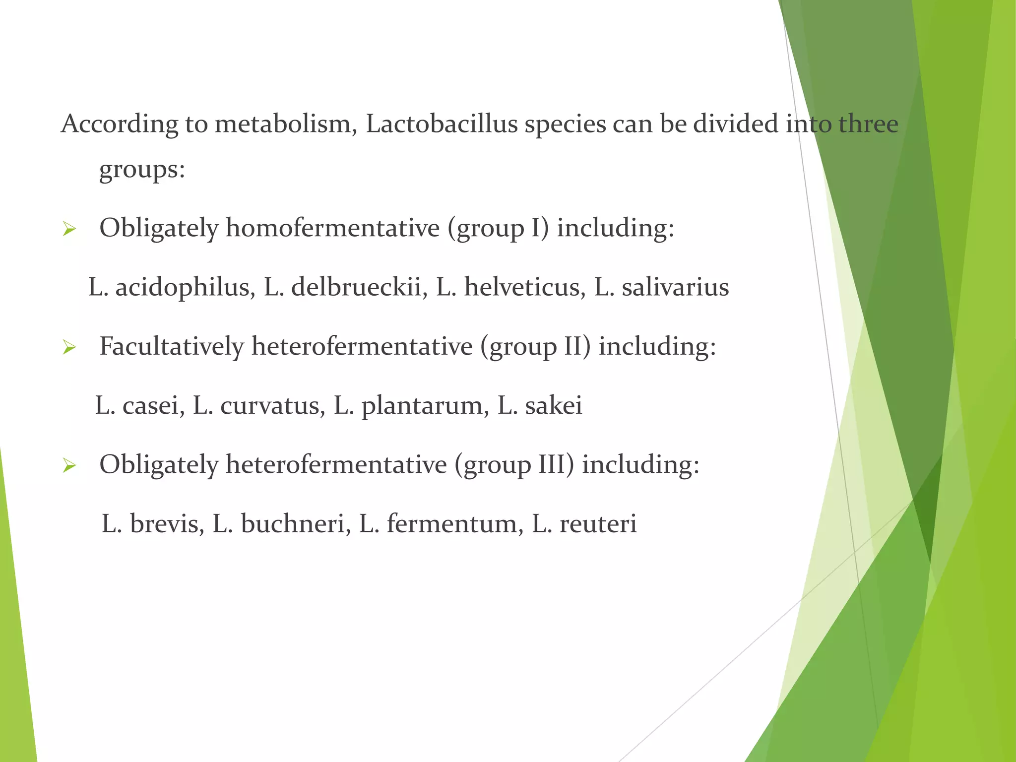 Lactobacillus | PPTX