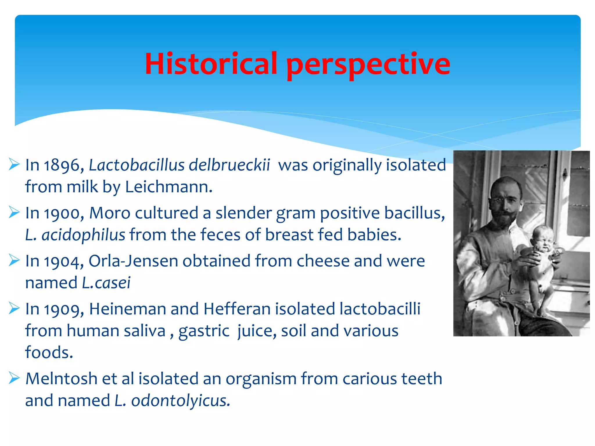 Lactobacillus | PPTX