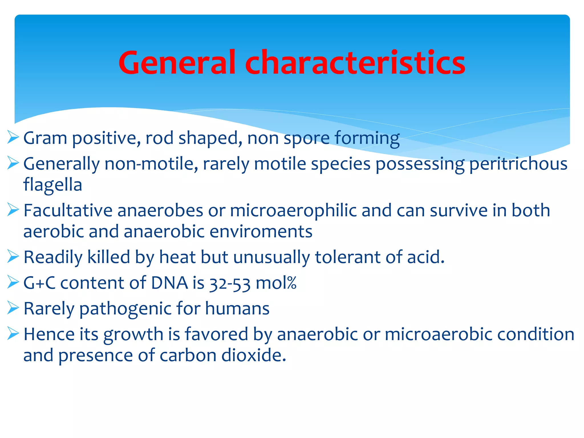 Lactobacillus | PPTX