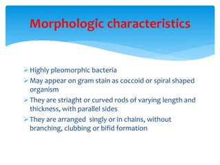 Lactobacillus | PPTX