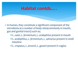 Lactobacillus | PPTX