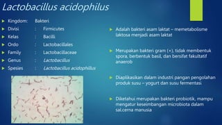 Lactobacillus acidophilus Sebagai Profilaksis Kandidiasis.pptx