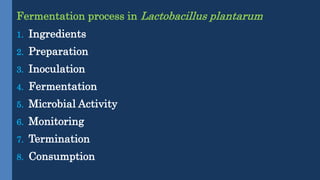 Lactobacillus plantarum - Beneficial Bacteria | PPTX