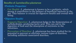 Lactobacillus plantarum - Beneficial Bacteria | PPTX