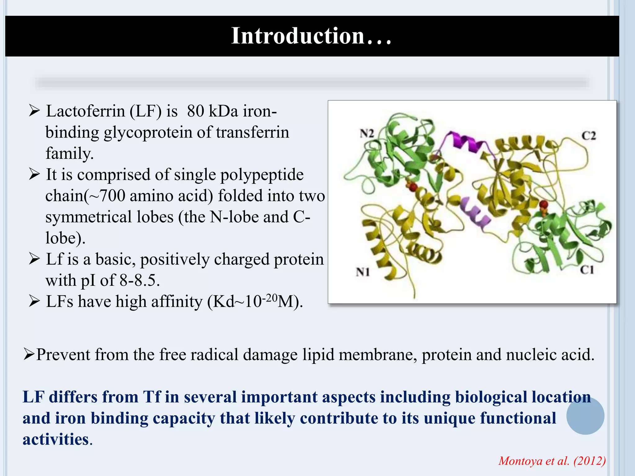 Lactoferrin | PPTX