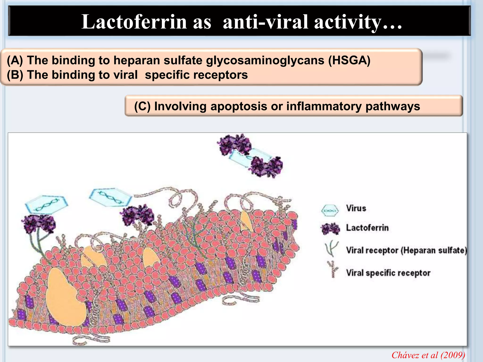Lactoferrin | PPTX