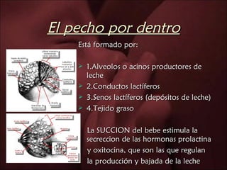 Lactogénesis | PPT