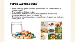 Lactogogues | PPTX